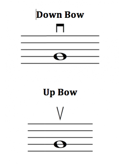 DB-10 Playing Your First Notes on the Bass - Christopher J Hartzog Music