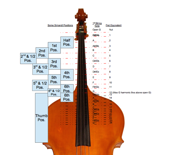DB 11 Position Numbering On The Double Bass Christopher J Hartzog Music DB 11 Position Numbering On The Double Bass Christopher J Hartzog Music